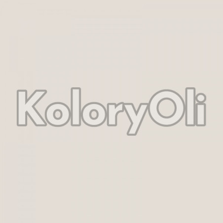 NCS S 1002-Y50R Farba Proszkowa Poliestrowa Gładki Mat KO-A00424 ...